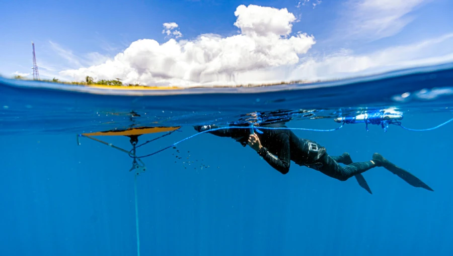 Freediving Inn — The Best School in the Best School in the Philippines