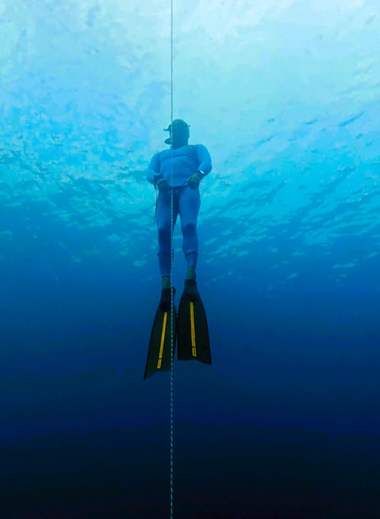 Freedive Inn