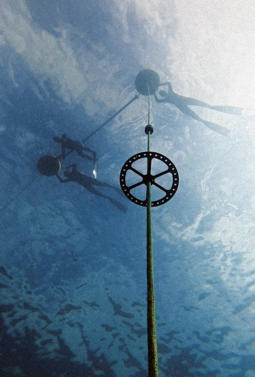 Freedive Inn