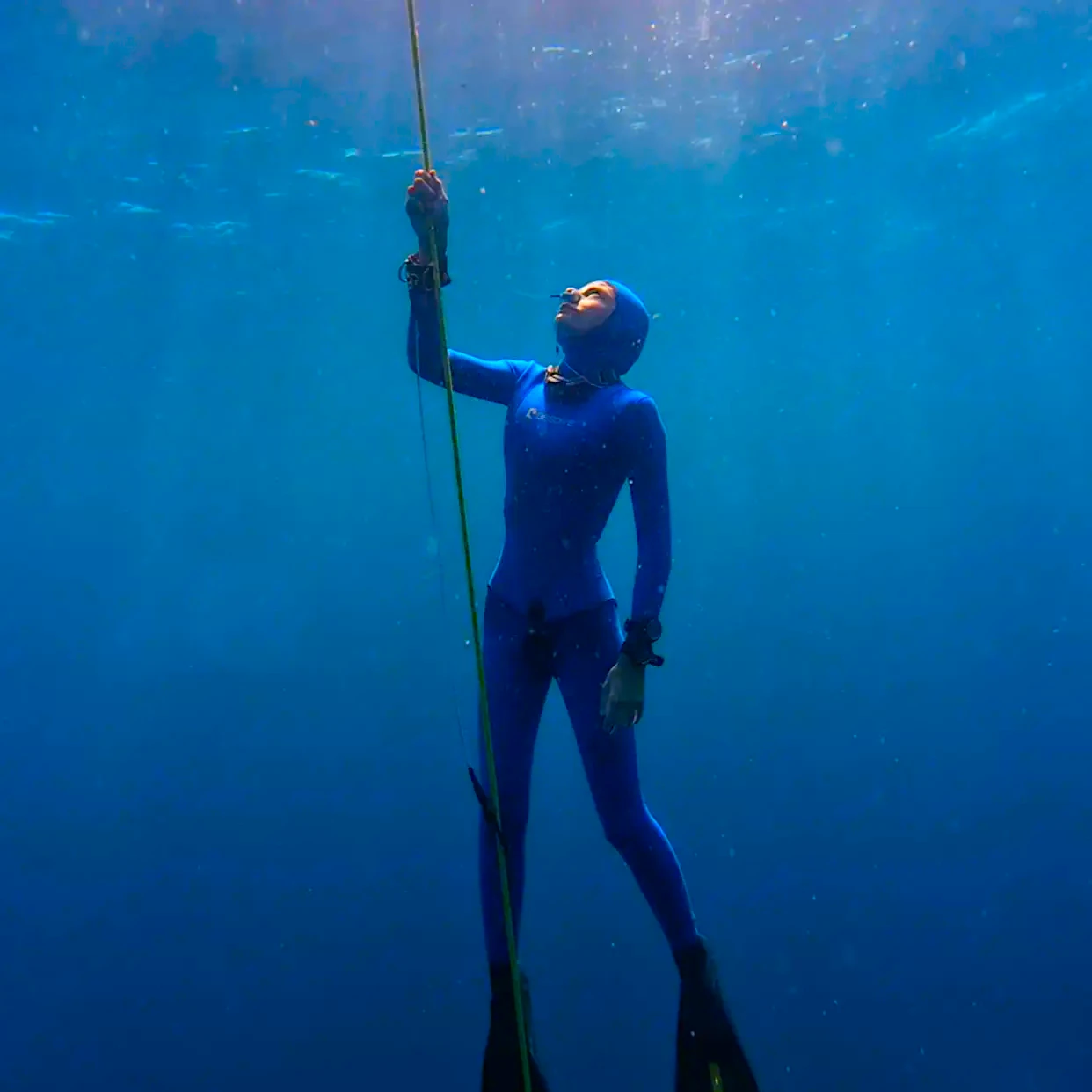 Freedive Inn