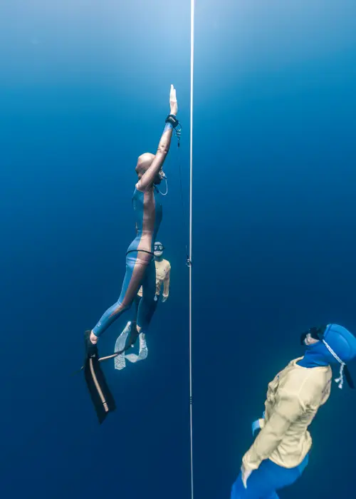 Freedive Inn