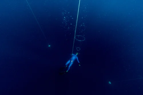 Freedive Inn