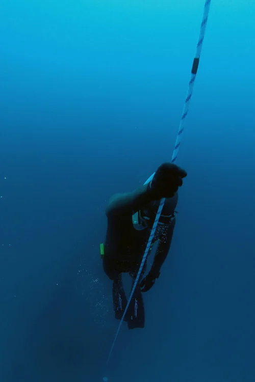 Freedive Inn