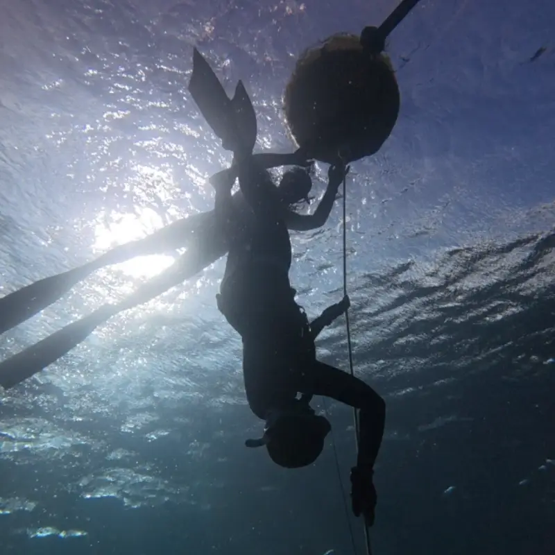 Freediving Inn — Best School in Puerto Galera | Learn & freeDive