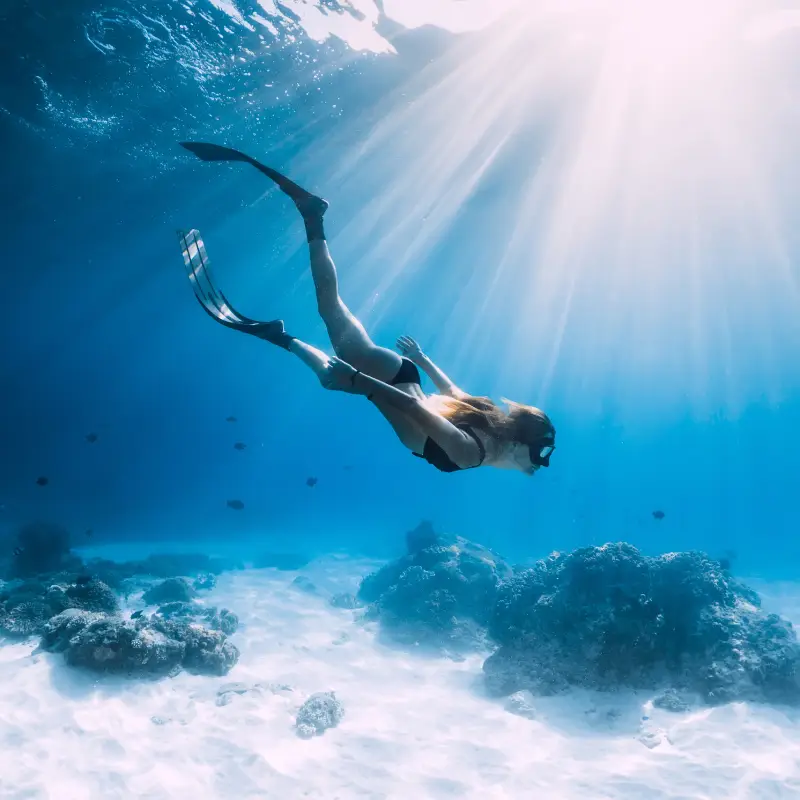 Freediving Inn — Best School in Puerto Galera | Learn & freeDive